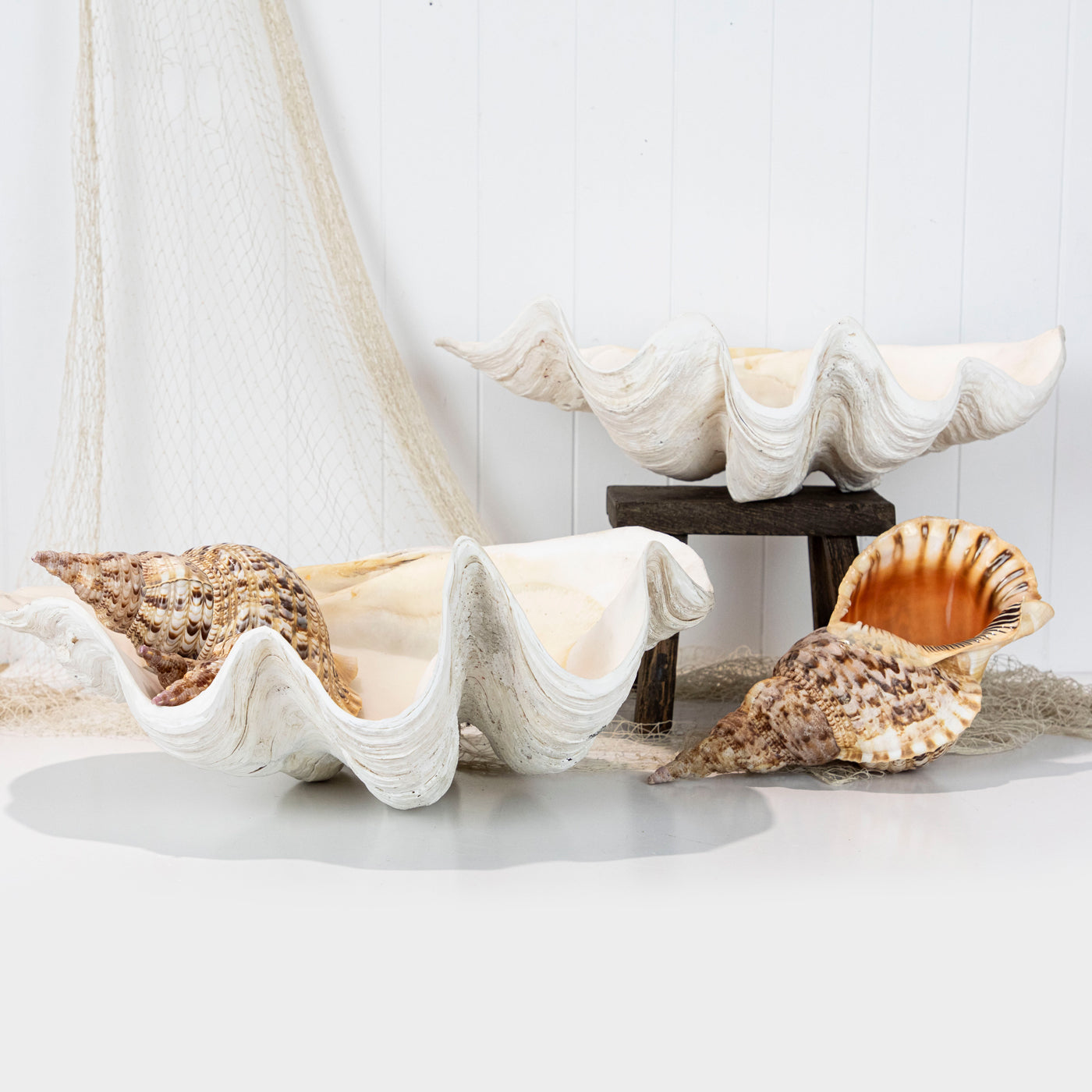 Clam Shells & Shells – Coastal Vintage
